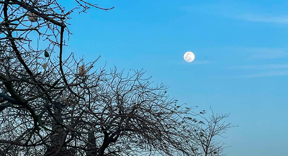 Full moon (photo: Yaron Karmi) - Hai Poh - Haifa and surrounding news ...