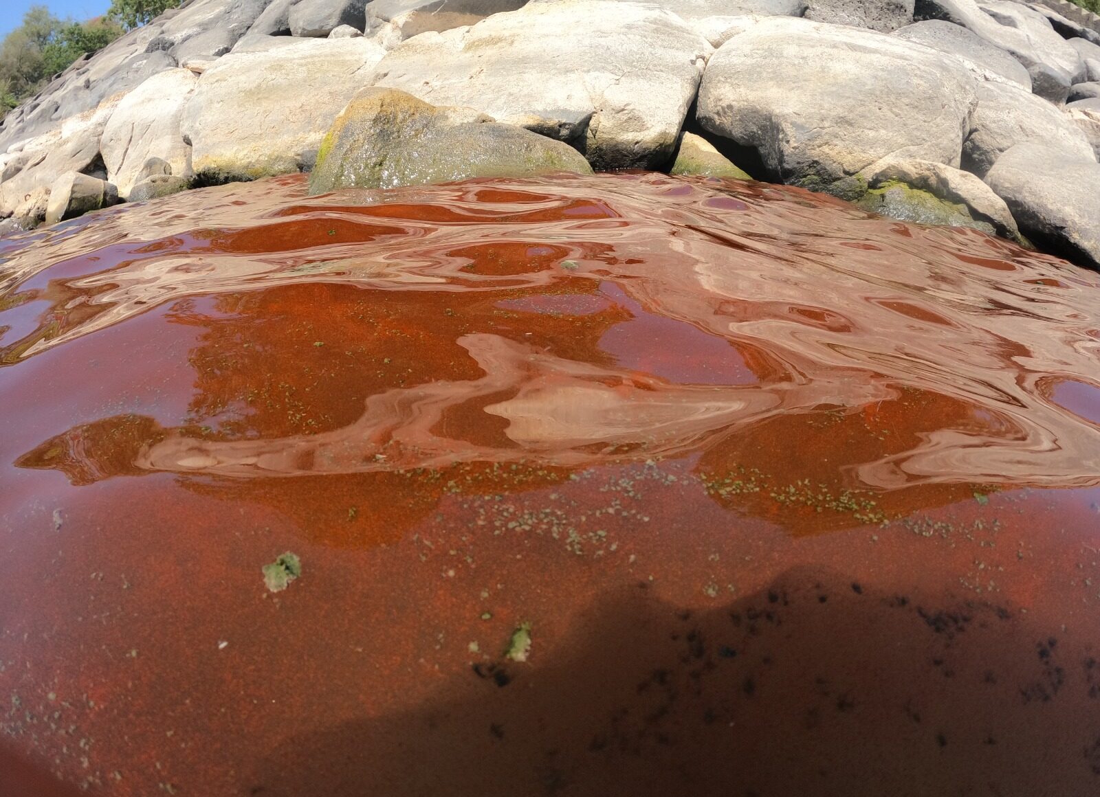 "Blood Splatter" in the Sea of Galilee: The Scientific Truth Behind the ...
