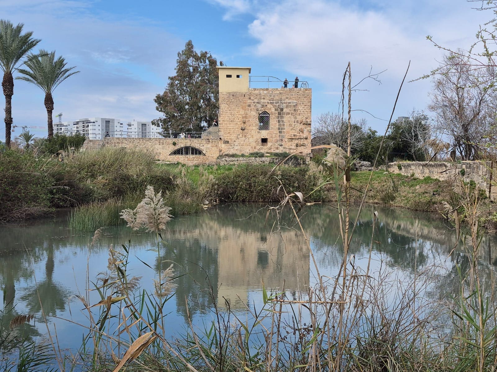Sites where water shaped life • The connection between aquatic habitats ...
